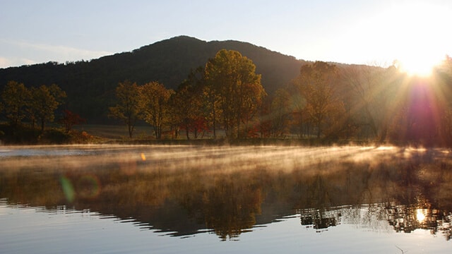 Charlottesville Real Estate & Virginia Real Estate | Virginia Estates