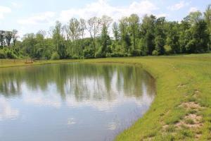 Sandy River Vineyard | Virginia Estates