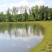 Sandy River Vineyard - Virginia Estates