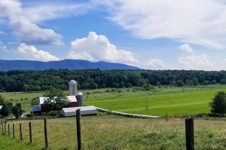 Ridge Run Vineyard - Virginia Estates