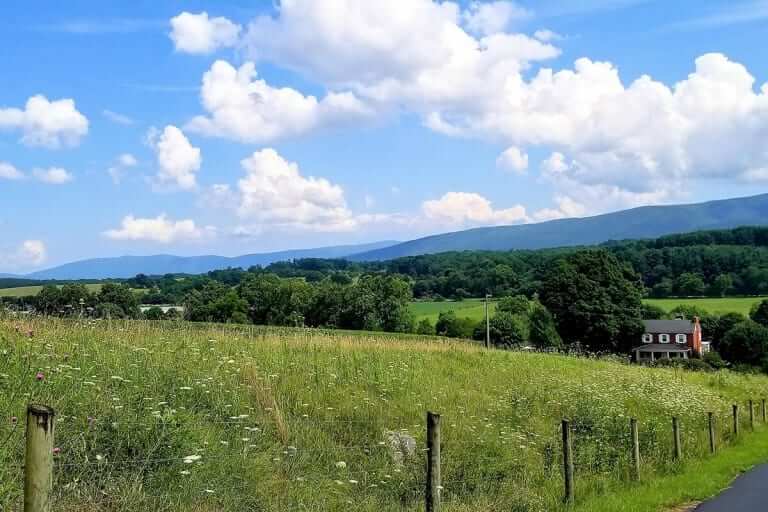 Ridge Run Vineyard - Virginia Estates