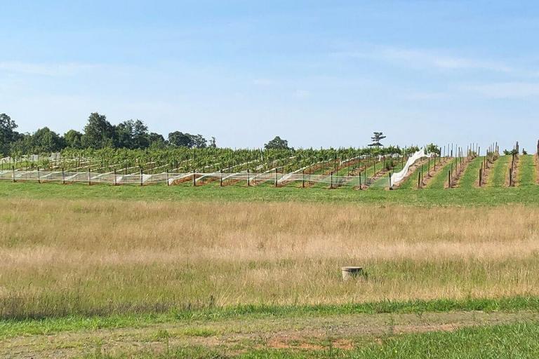 Toll Gate Farm - Virginia Estates