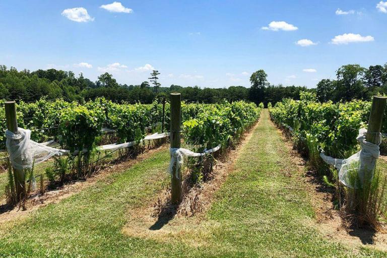 Toll Gate Farm - Virginia Estates