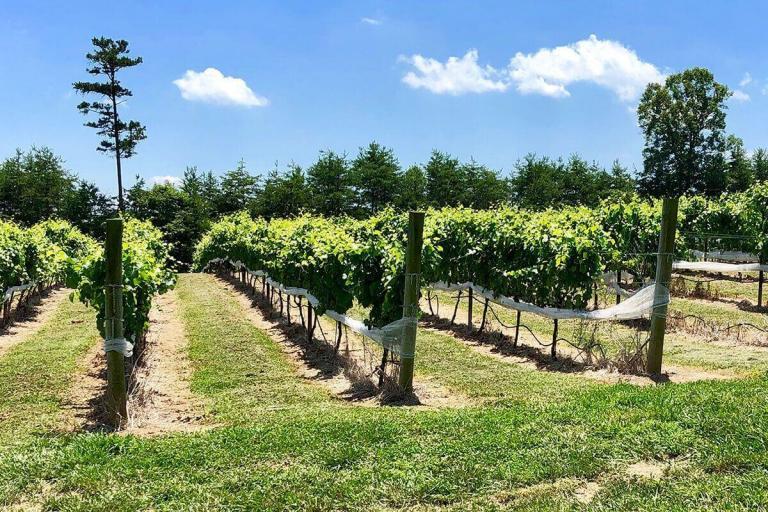 Toll Gate Farm - Virginia Estates