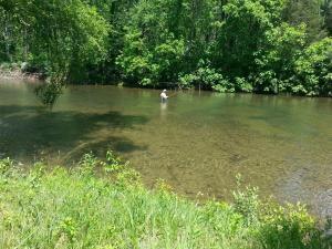 Maury River | Virginia Estates