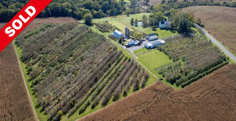 Distillery Lane Ciderworks: A Premier Maryland Farm & Cidery for Sale ...